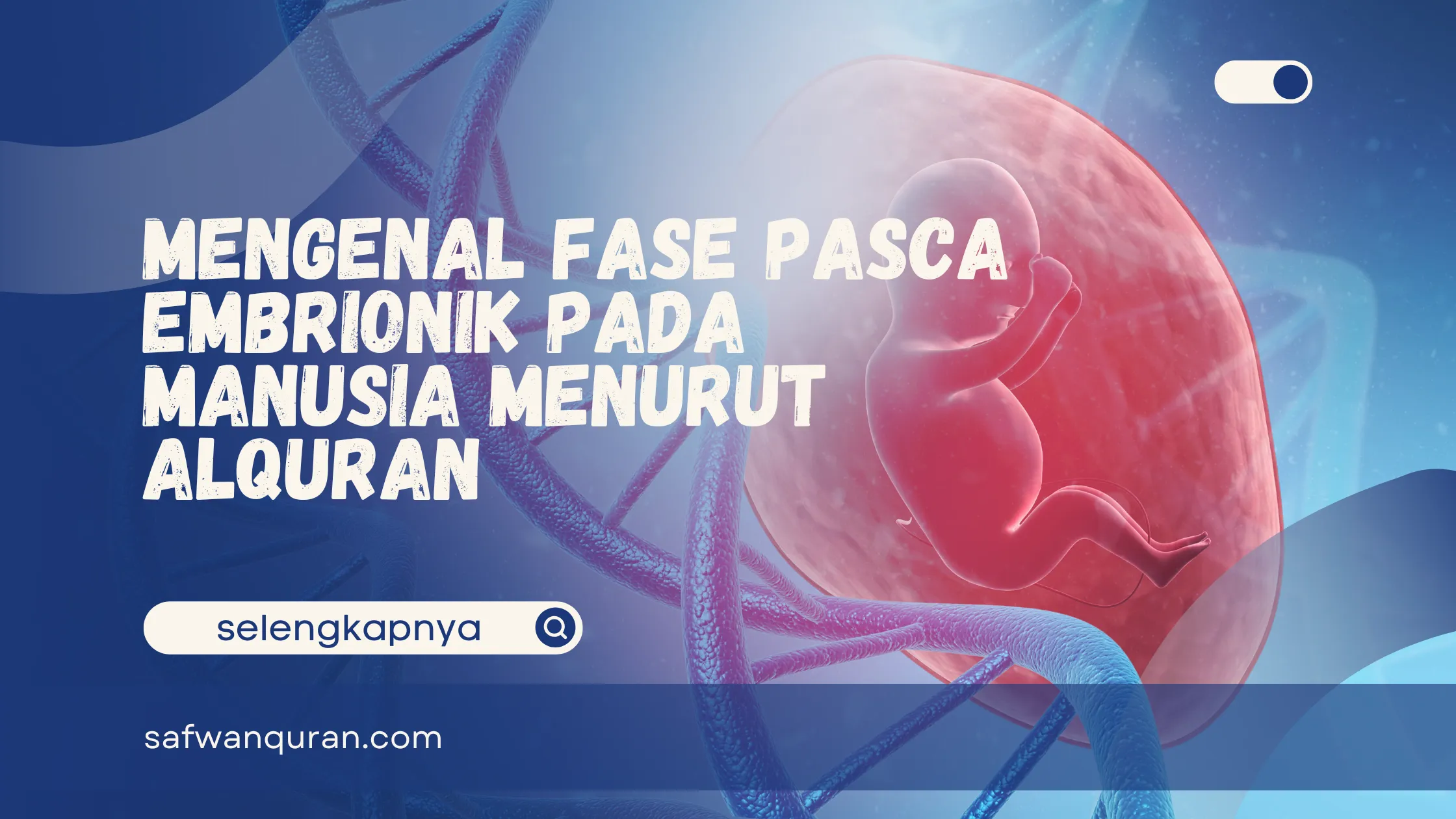 Mengenal Fase Pasca Embrionik pada Manusia Menurut Alquran
